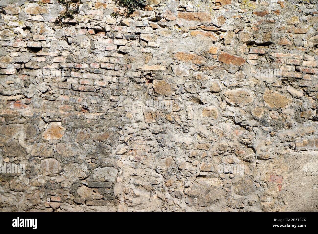 Moldy stone wall through damp walls structure photographed in daylight ...