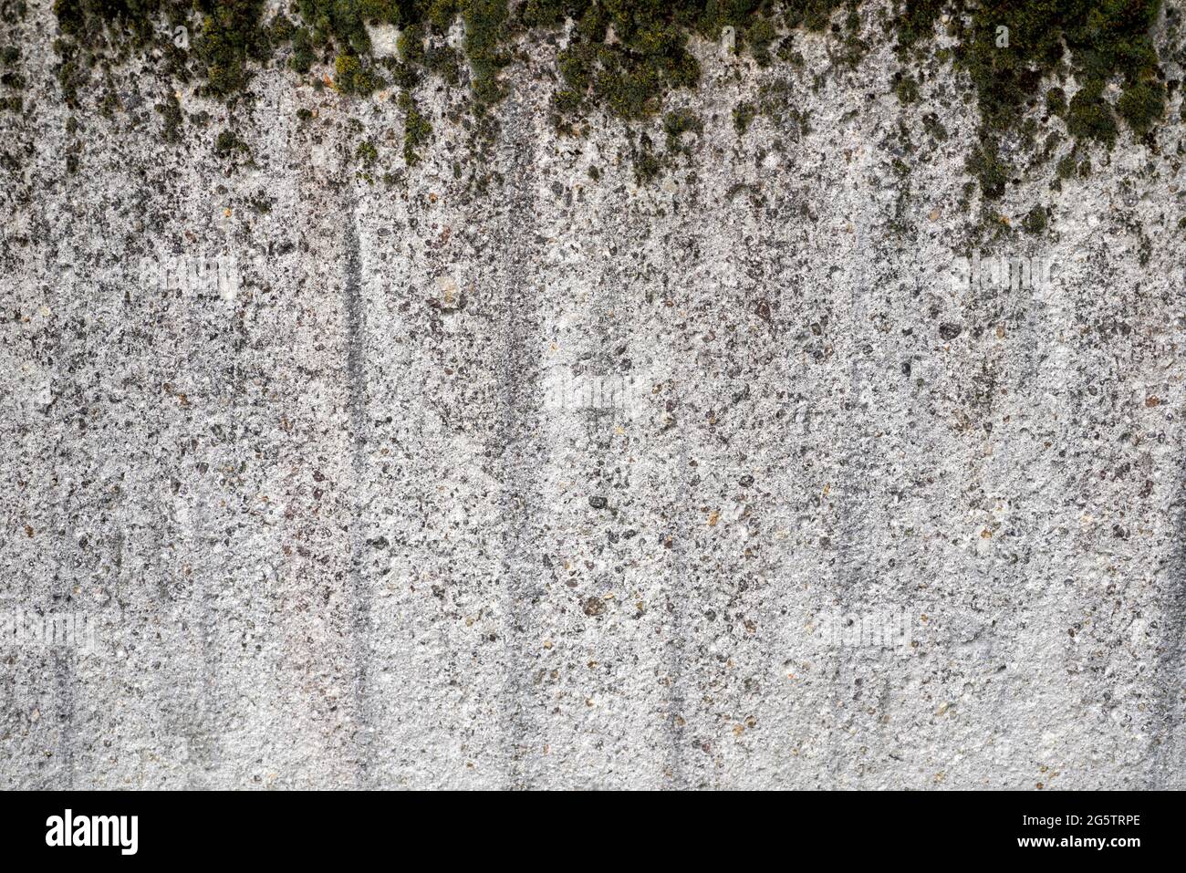 Moldy stone wall through damp walls structure photographed in daylight ...