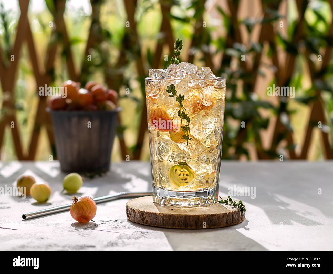 Gooseberry ice tea or lemonade. Summer homemade refreshing mocktail ...