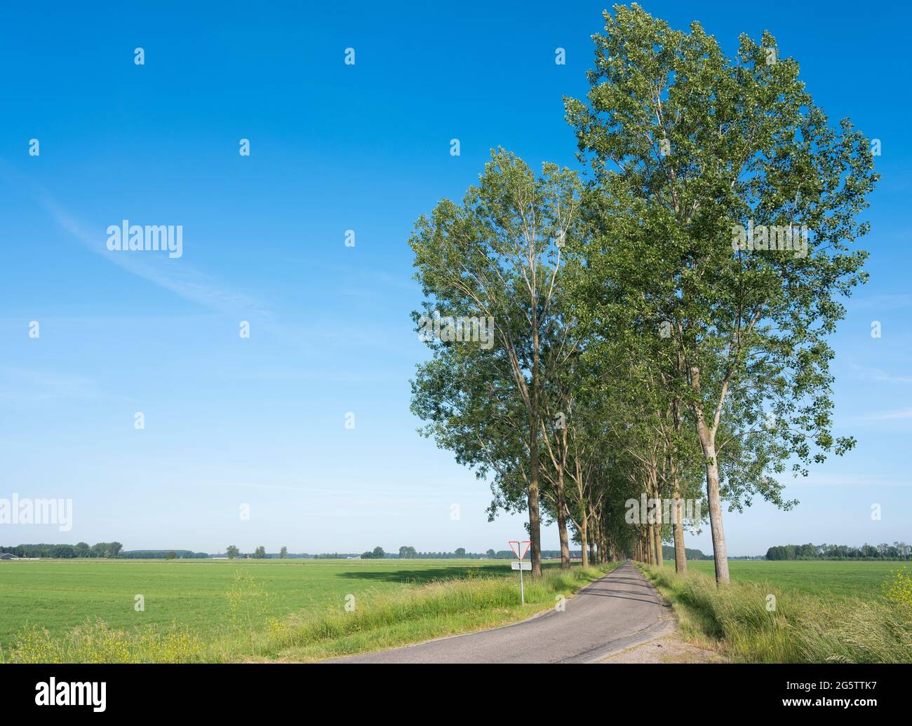 Dutch flat countryside hi-res stock photography and images - Alamy