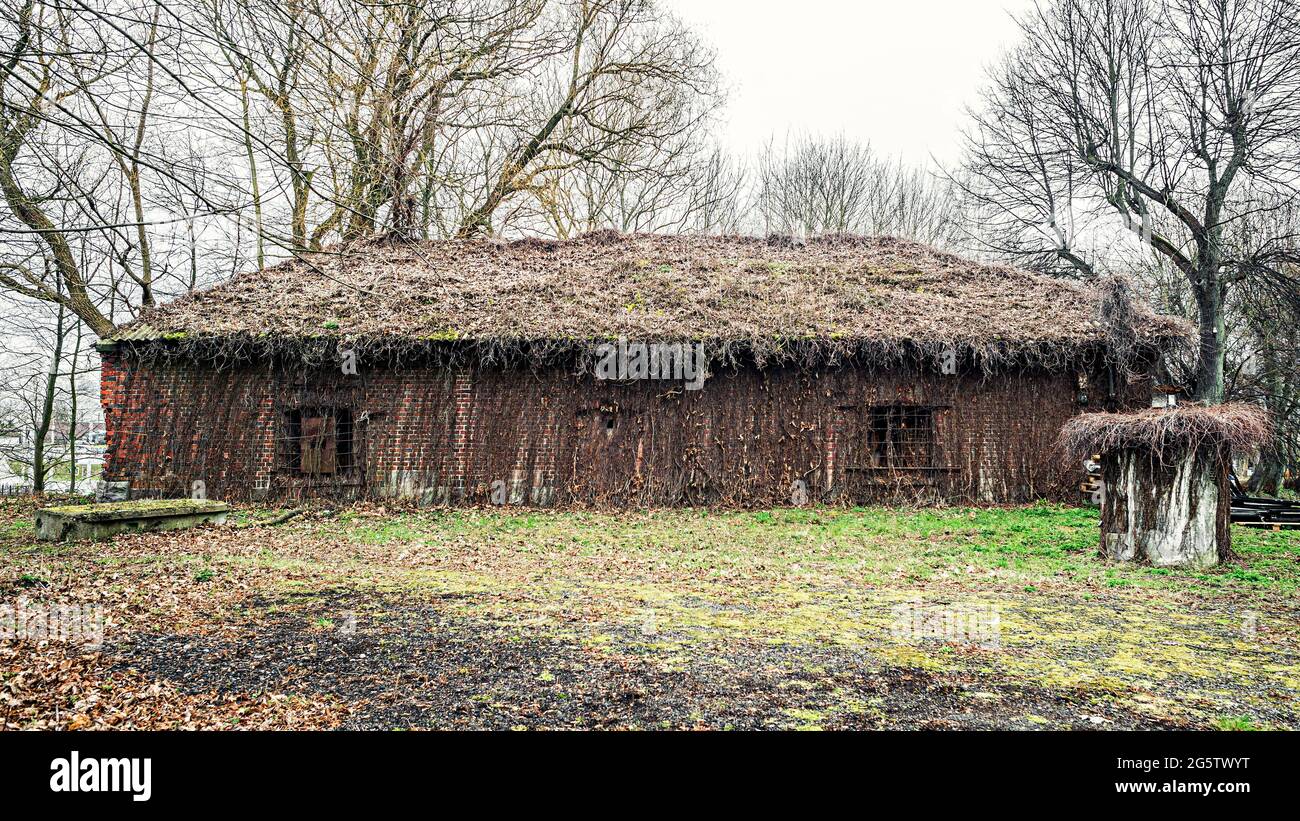 Old brick building, with overgrown walls, grass and moss on the roof ...
