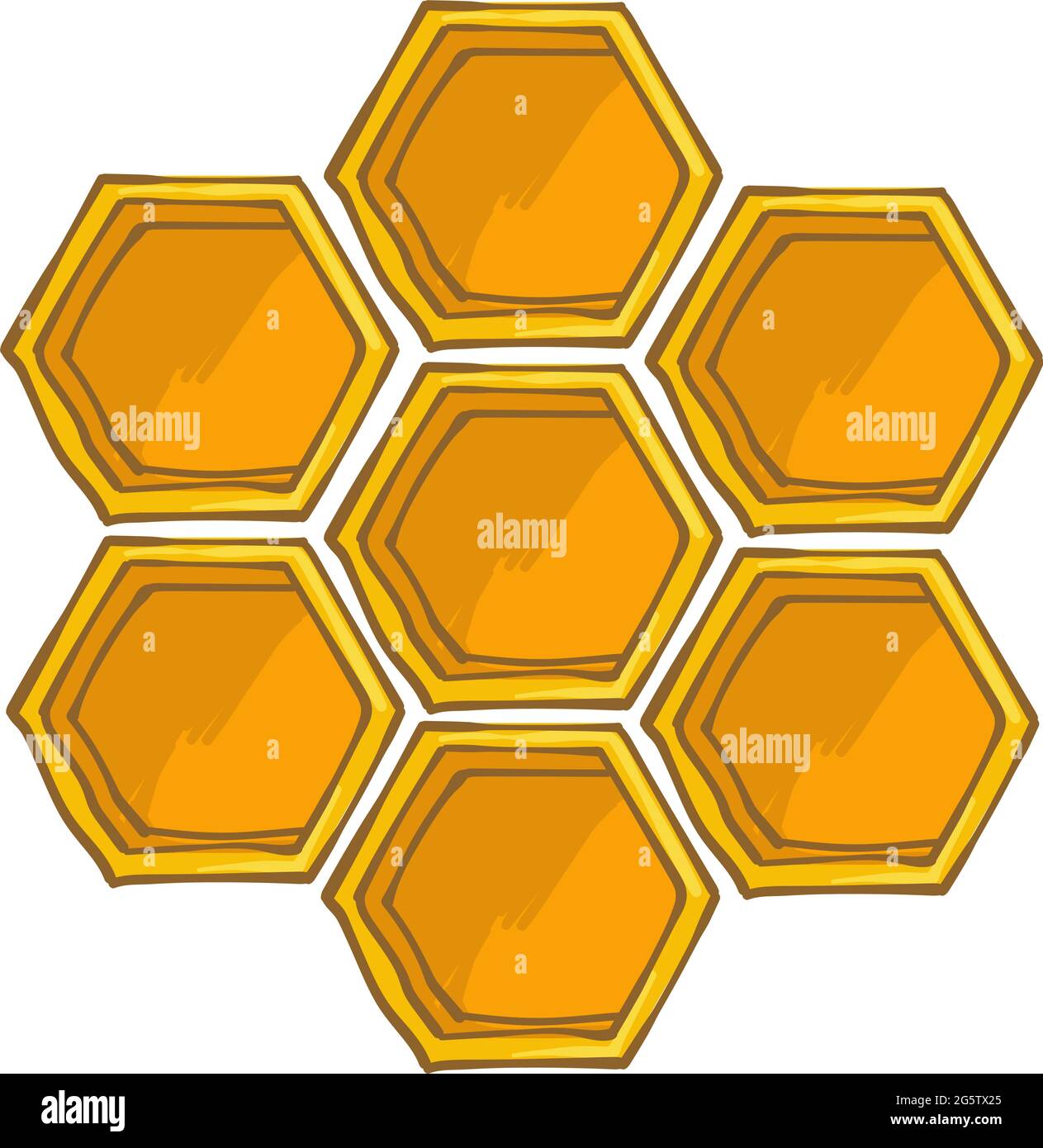 Real Beehive Hexagon