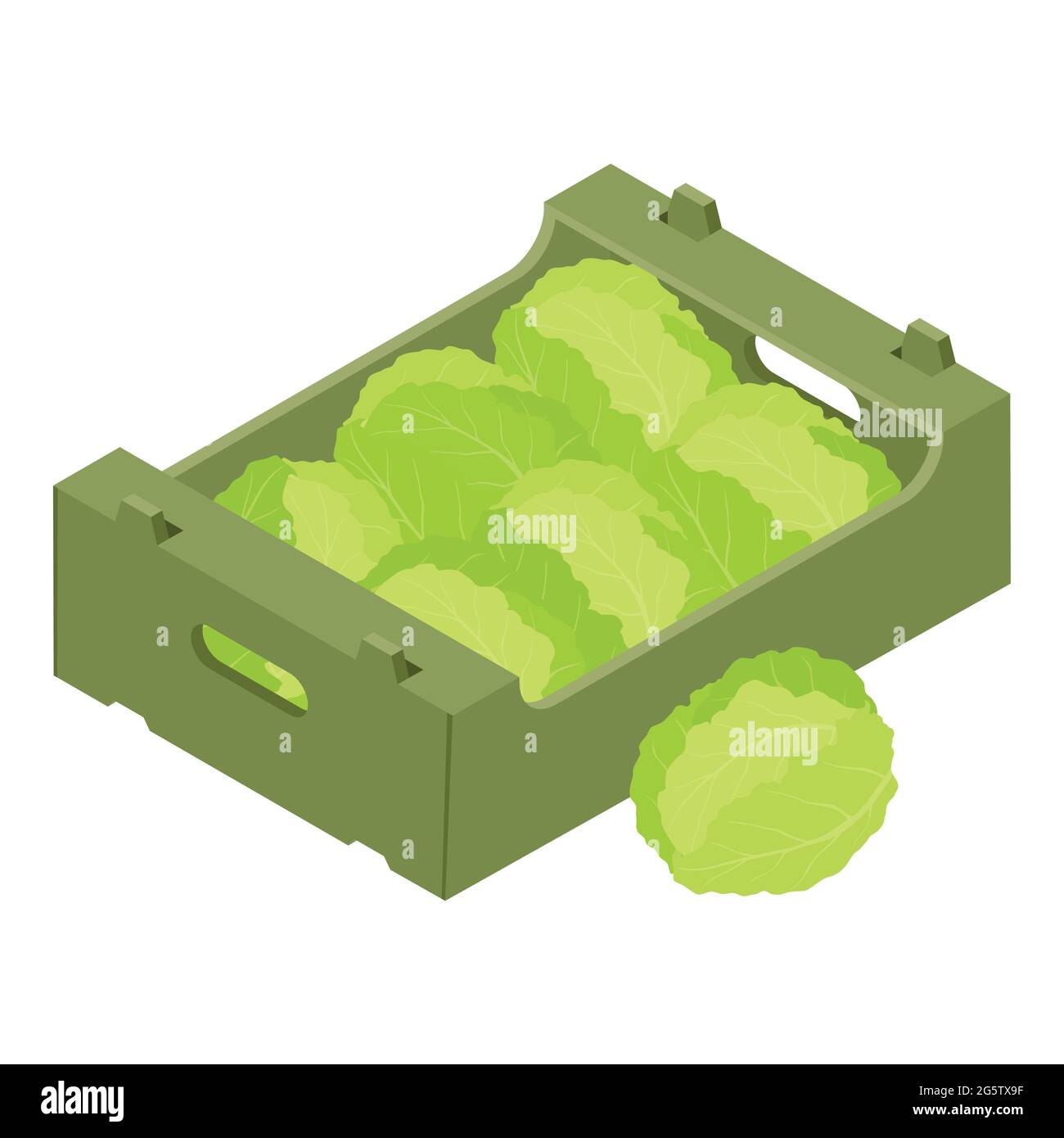 Cabbage in wooden market box isolated on white background, isometric ...