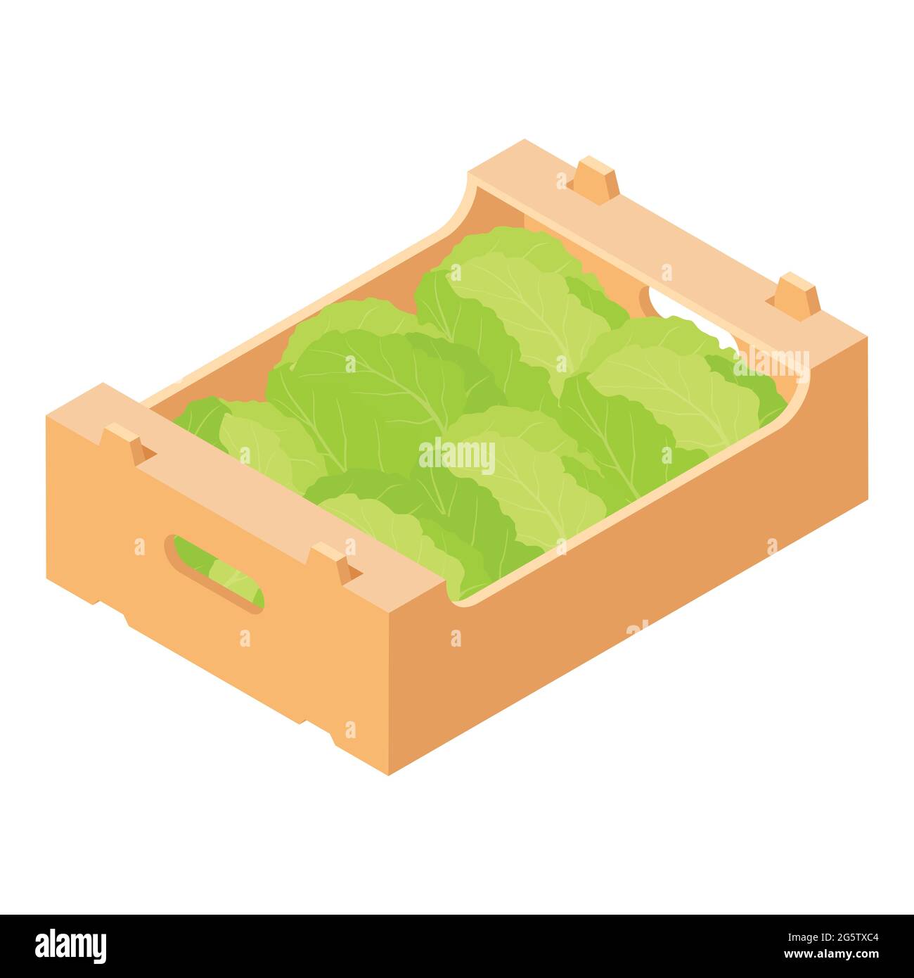 Cabbage in wooden market box isolated on white background, isometric ...