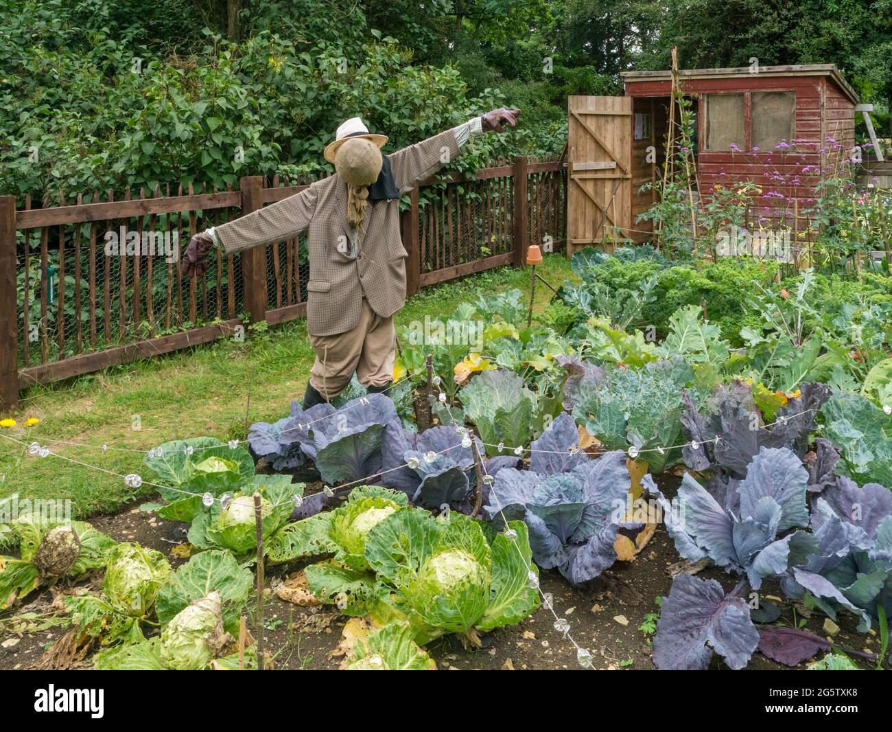 1950s house garden hi-res stock photography and images - Alamy