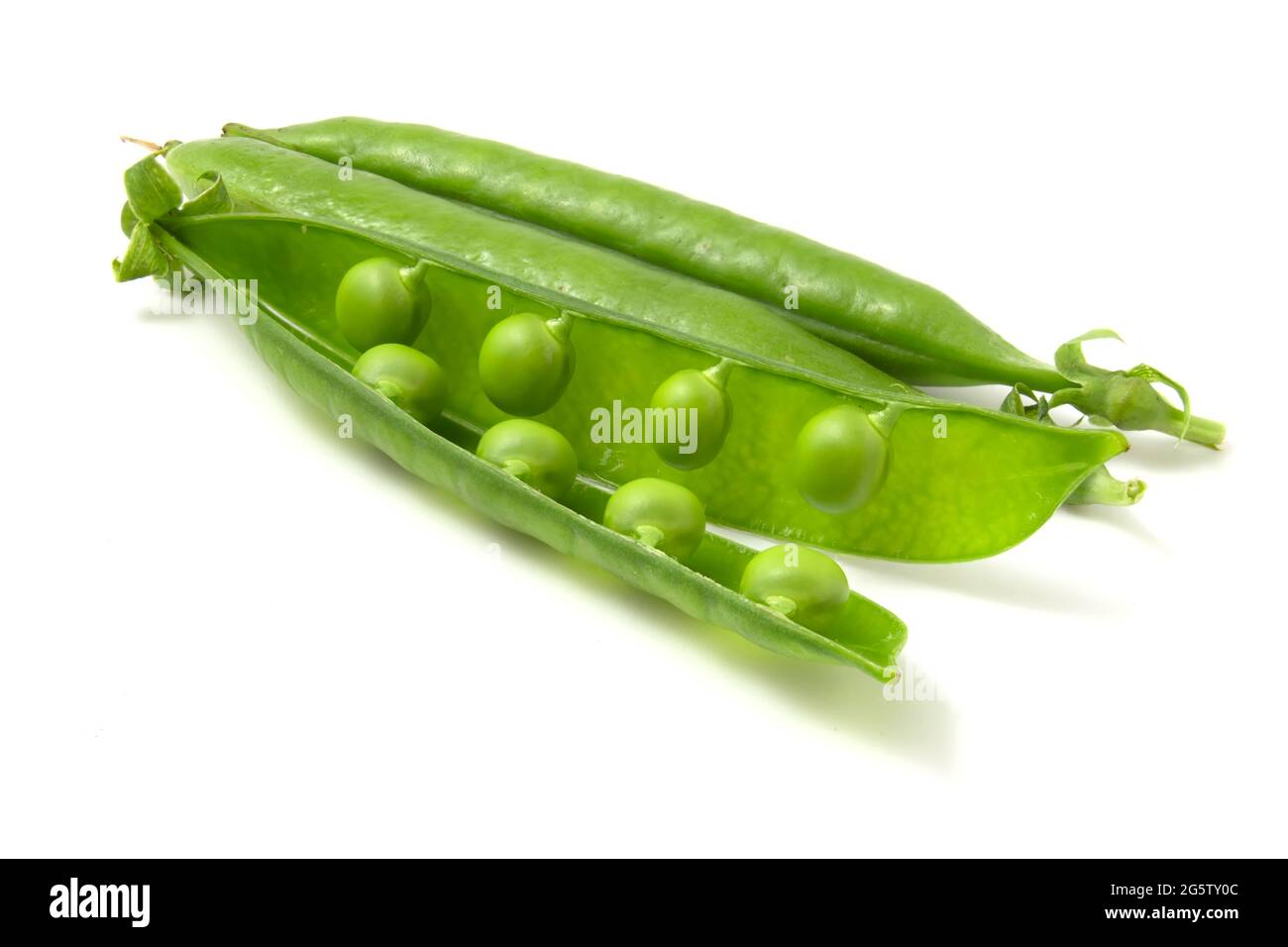 Close-up of young sweet pea pods isolated on white background Stock ...