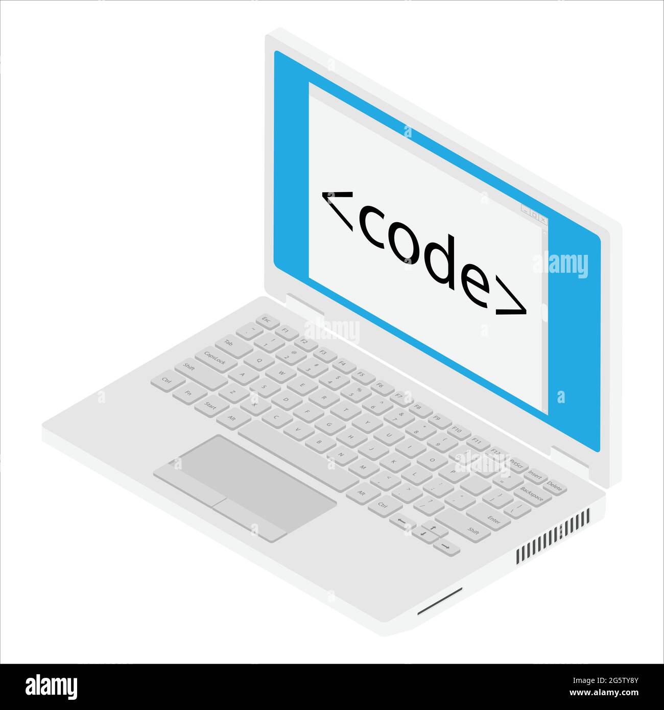 Vector Laptop Coding Concept Web Developer Design Programming Laptop Screen Code Stock
