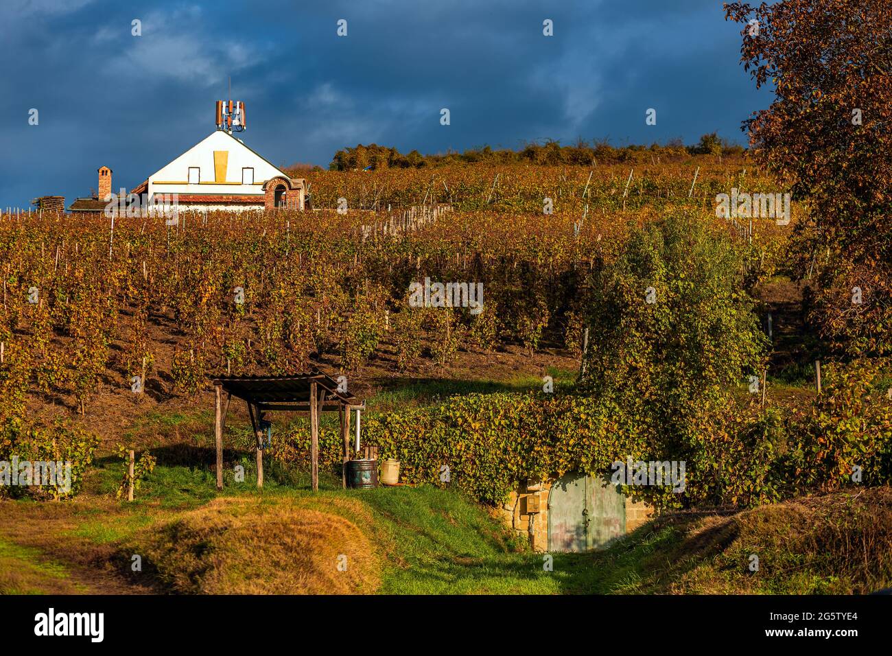 Tokaj wine region hi-res stock photography and images - Alamy