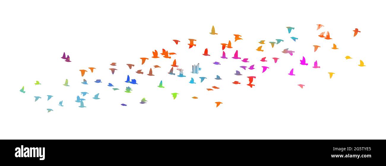 A flock of colorful birds. Vector illustration Stock Vector Image & Art ...