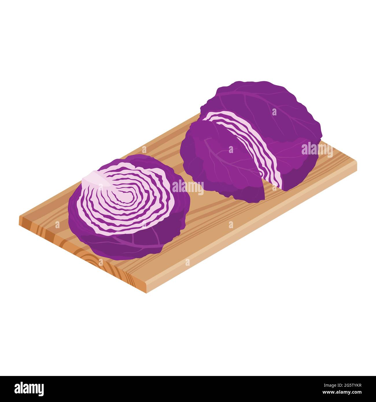 Red Cabbage Vector