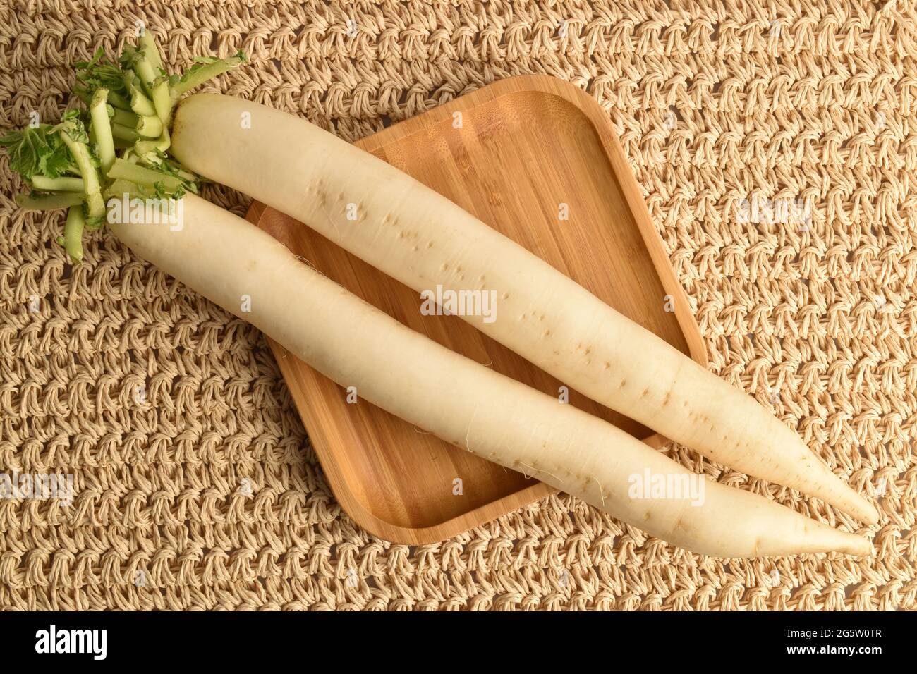 Mat of roots hi-res stock photography and images - Alamy