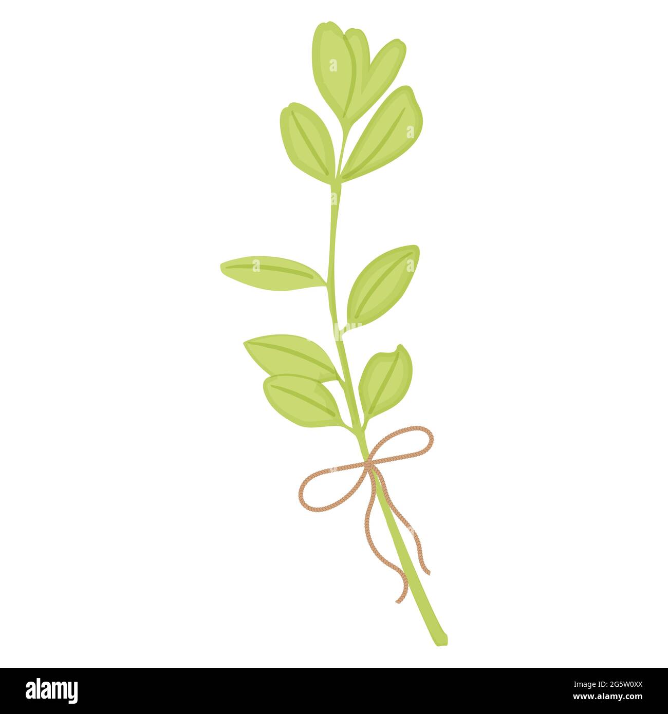 Branch with green leaves and rope. Vector illustration Stock Vector ...