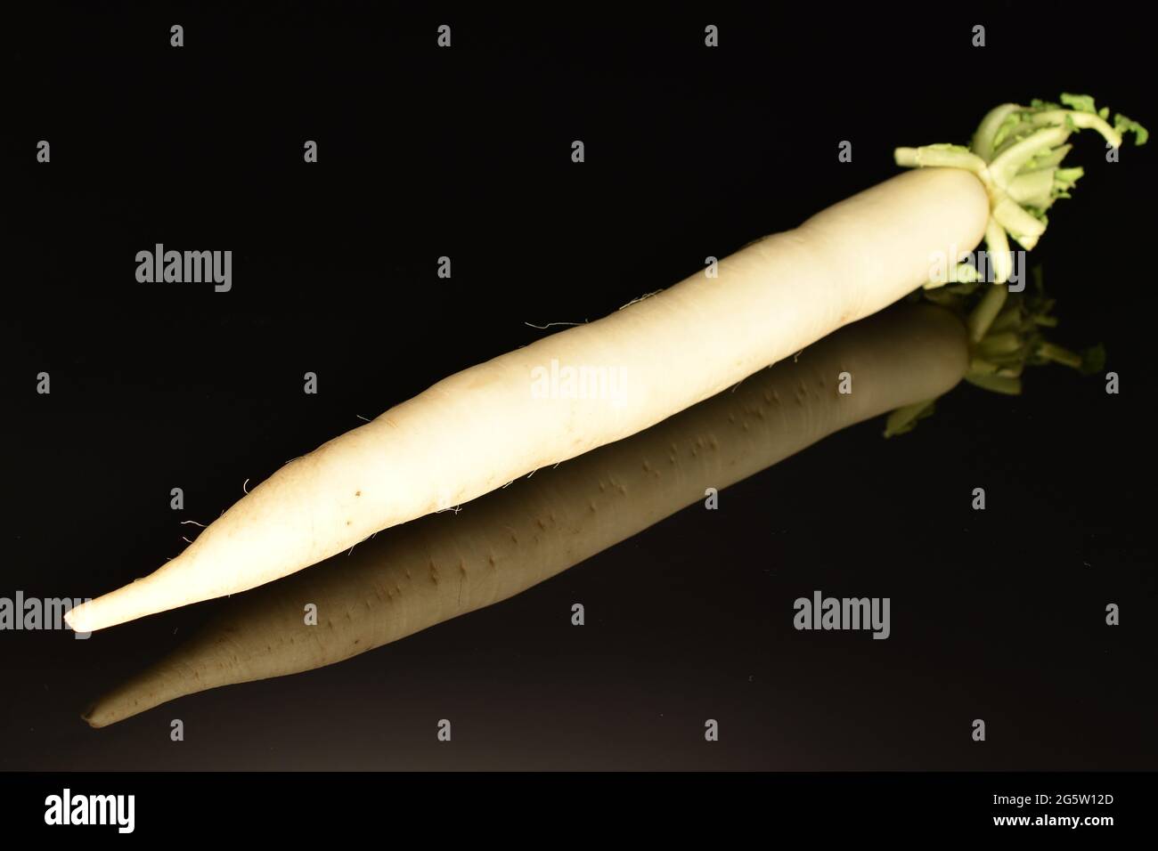 Asian plant with edible roots hi-res stock photography and images - Alamy