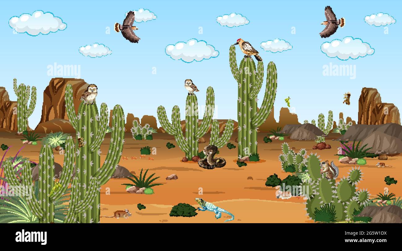 Desert Pictures Of Plants And Animals