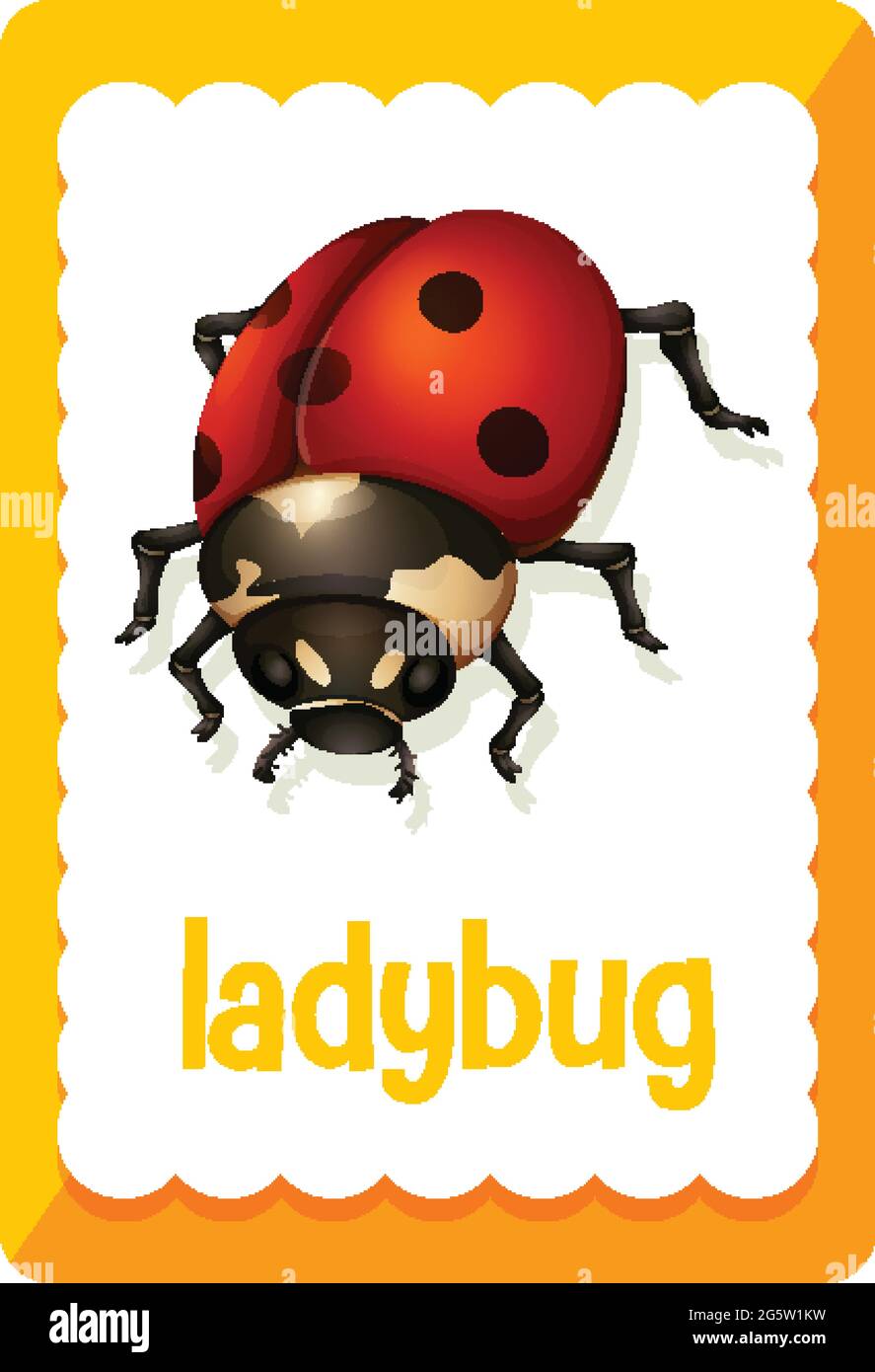 Vocabulary Flash Cards Clip Art