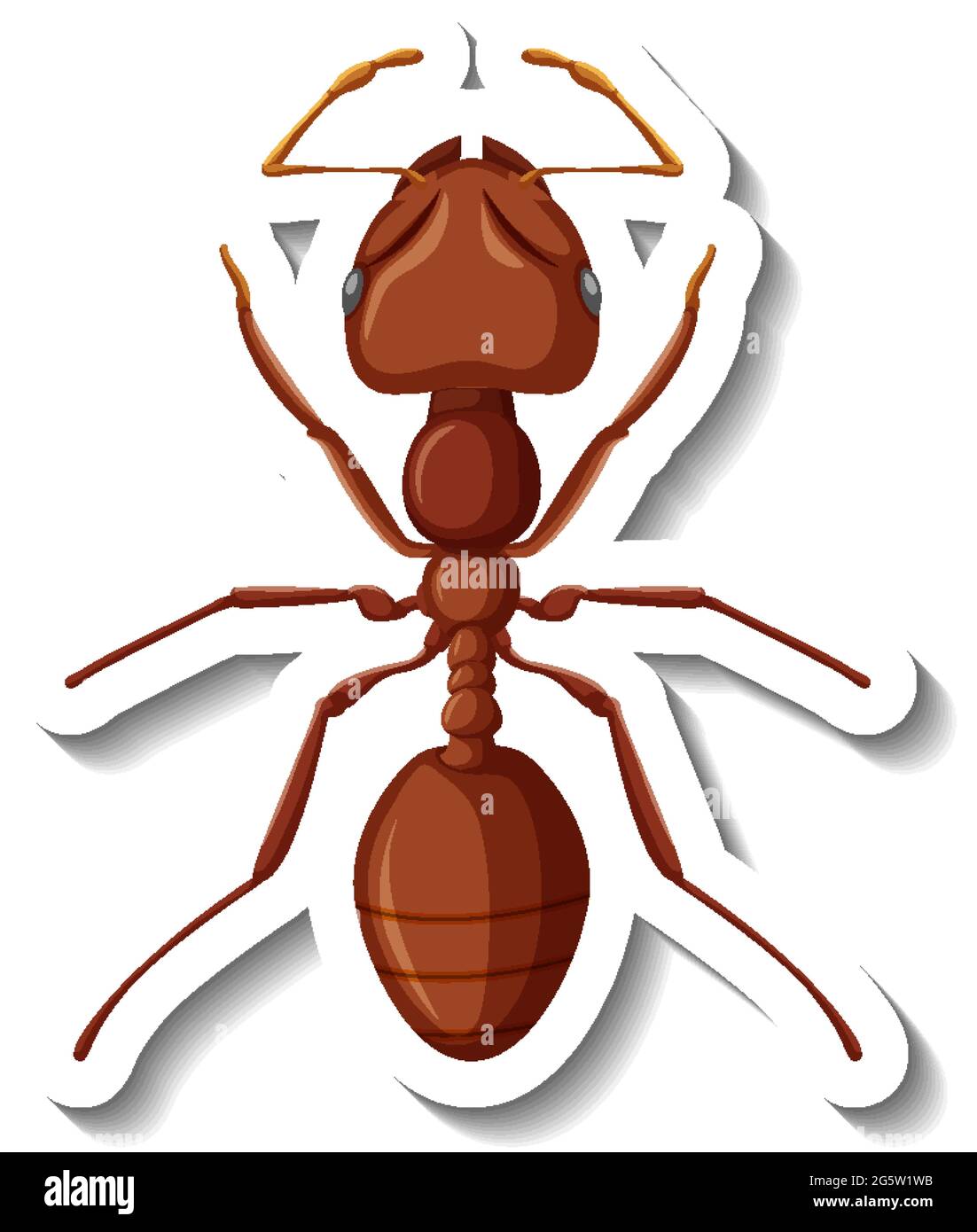 A sticker template with close up of red ant isolated illustration Stock ...