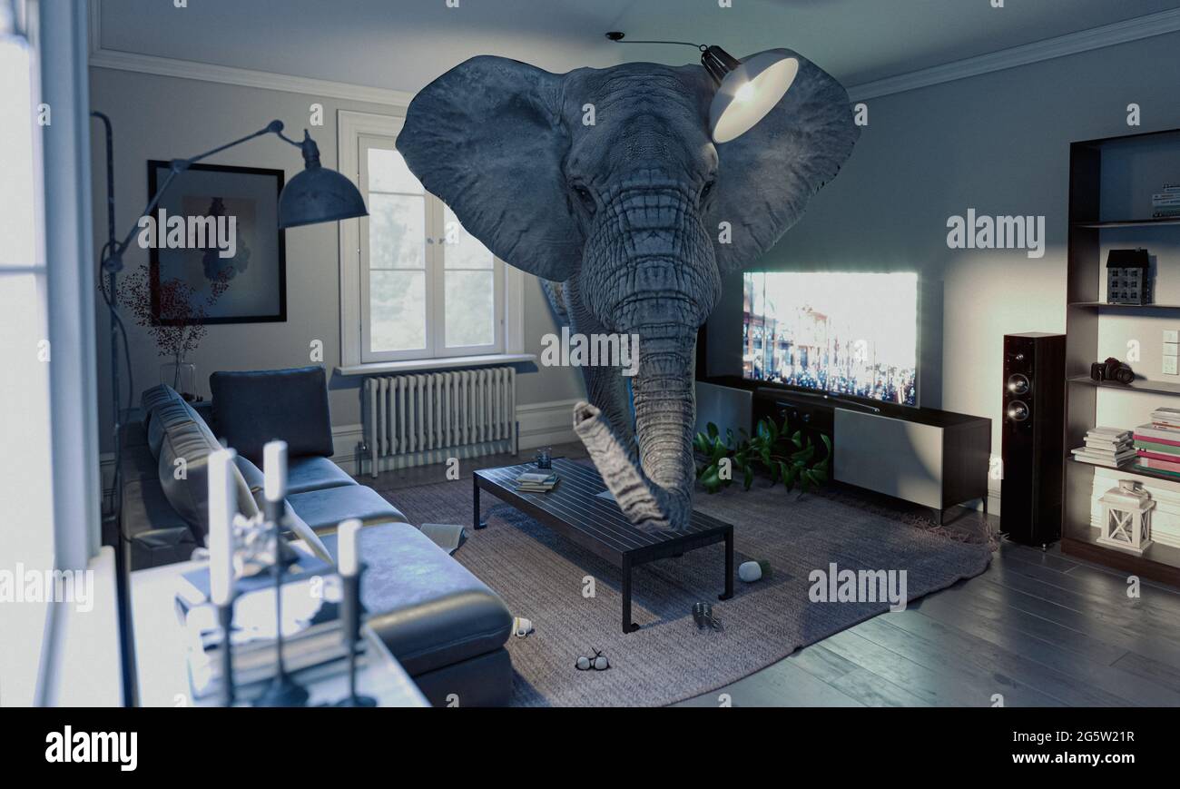 Elephant in the room hi-res stock photography and images - Alamy