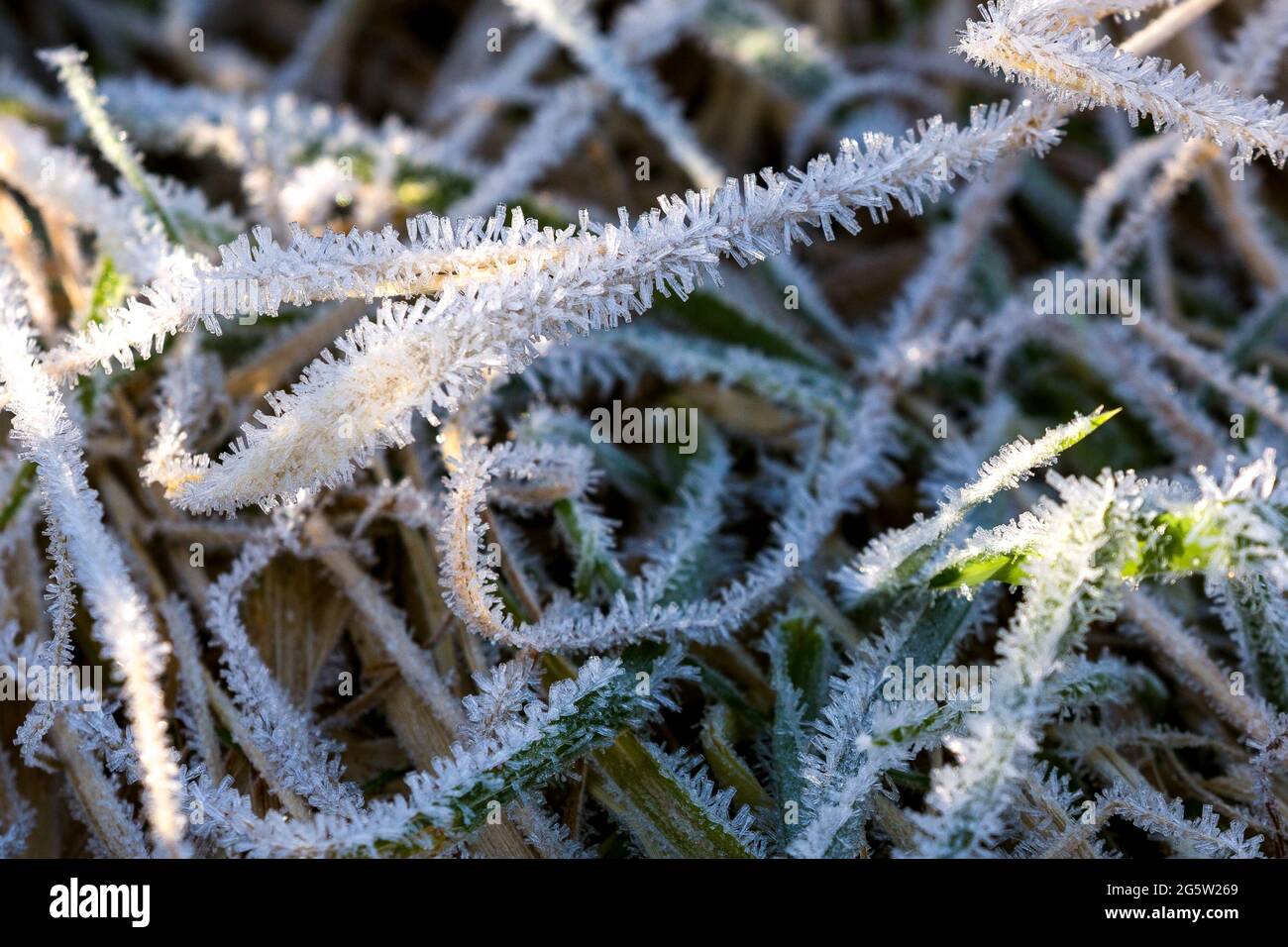 Scotland frosty weather hi-res stock photography and images - Alamy