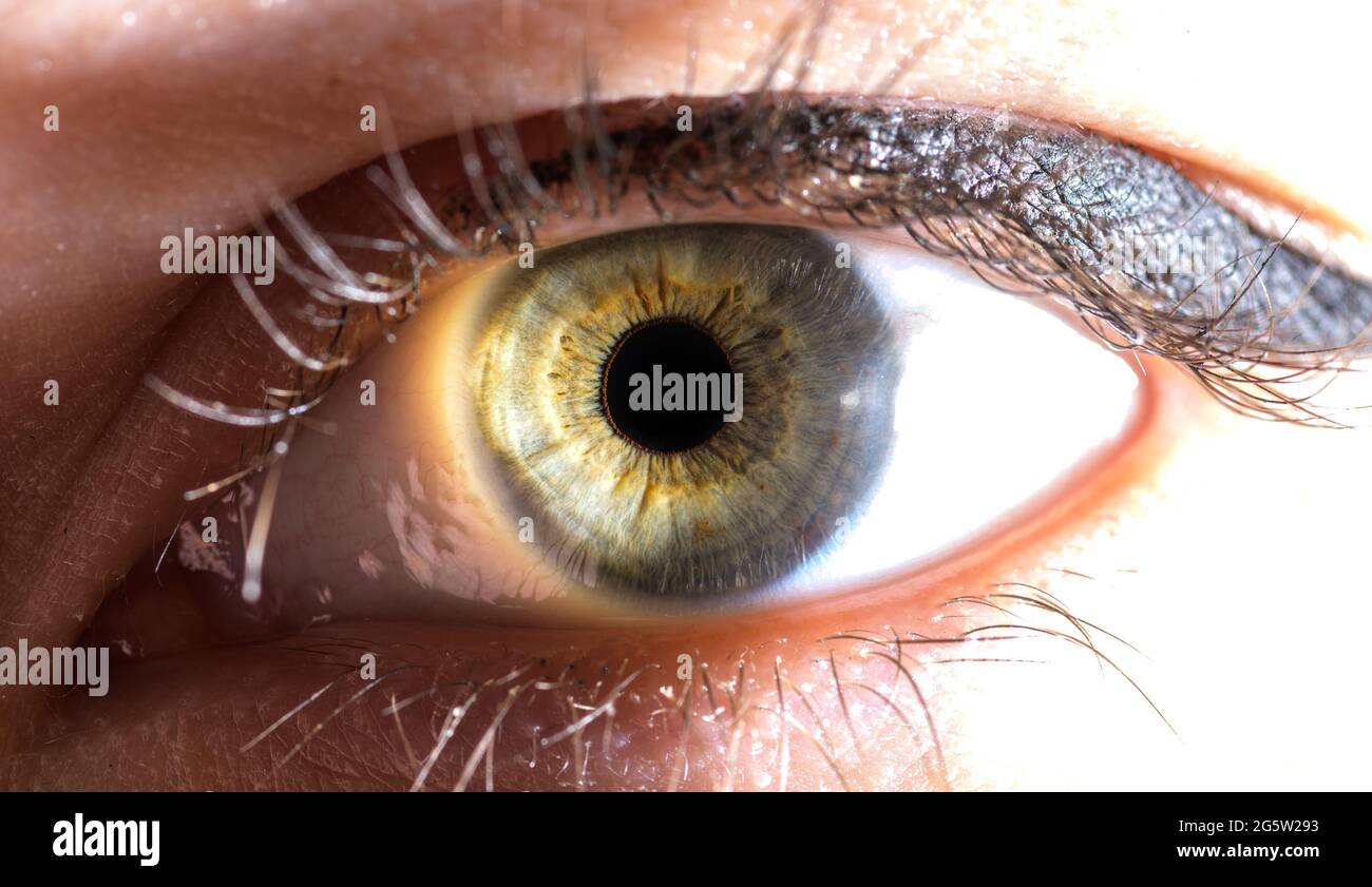 Human green eye hi-res stock photography and images - Alamy