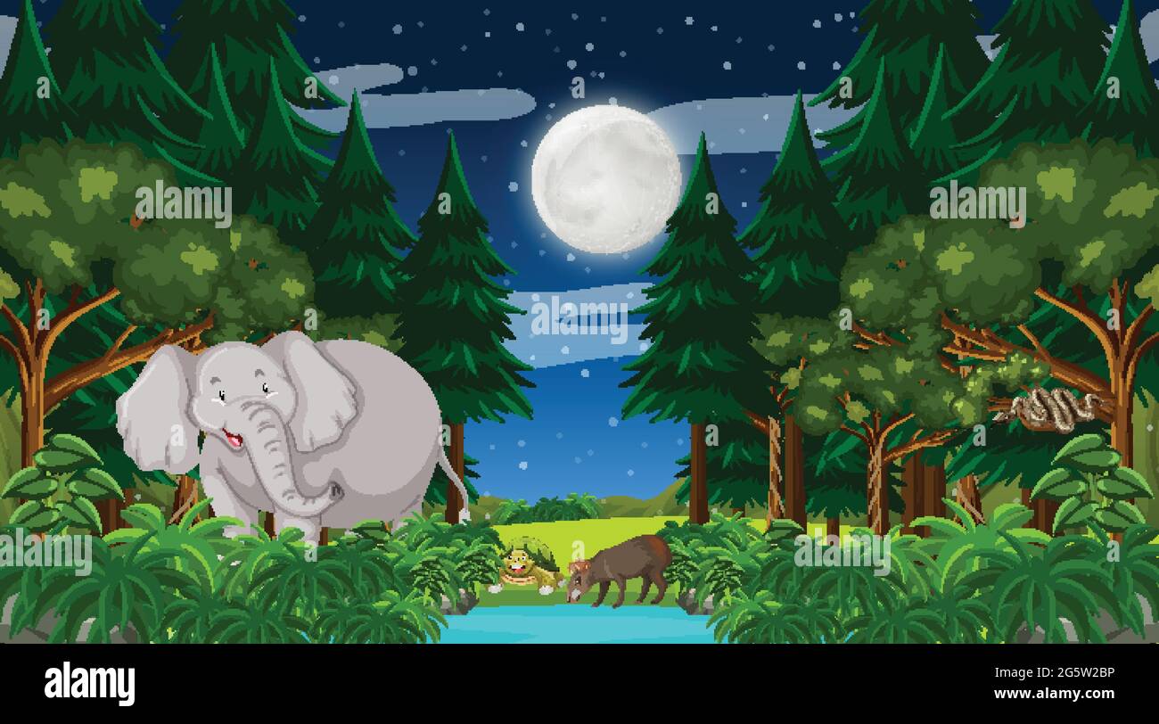Forest at night time scene with a big elephant and other animals ...