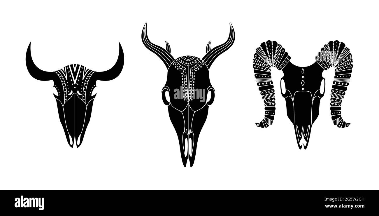 Set of three animal skulls with geometric ornaments. Tribal ...