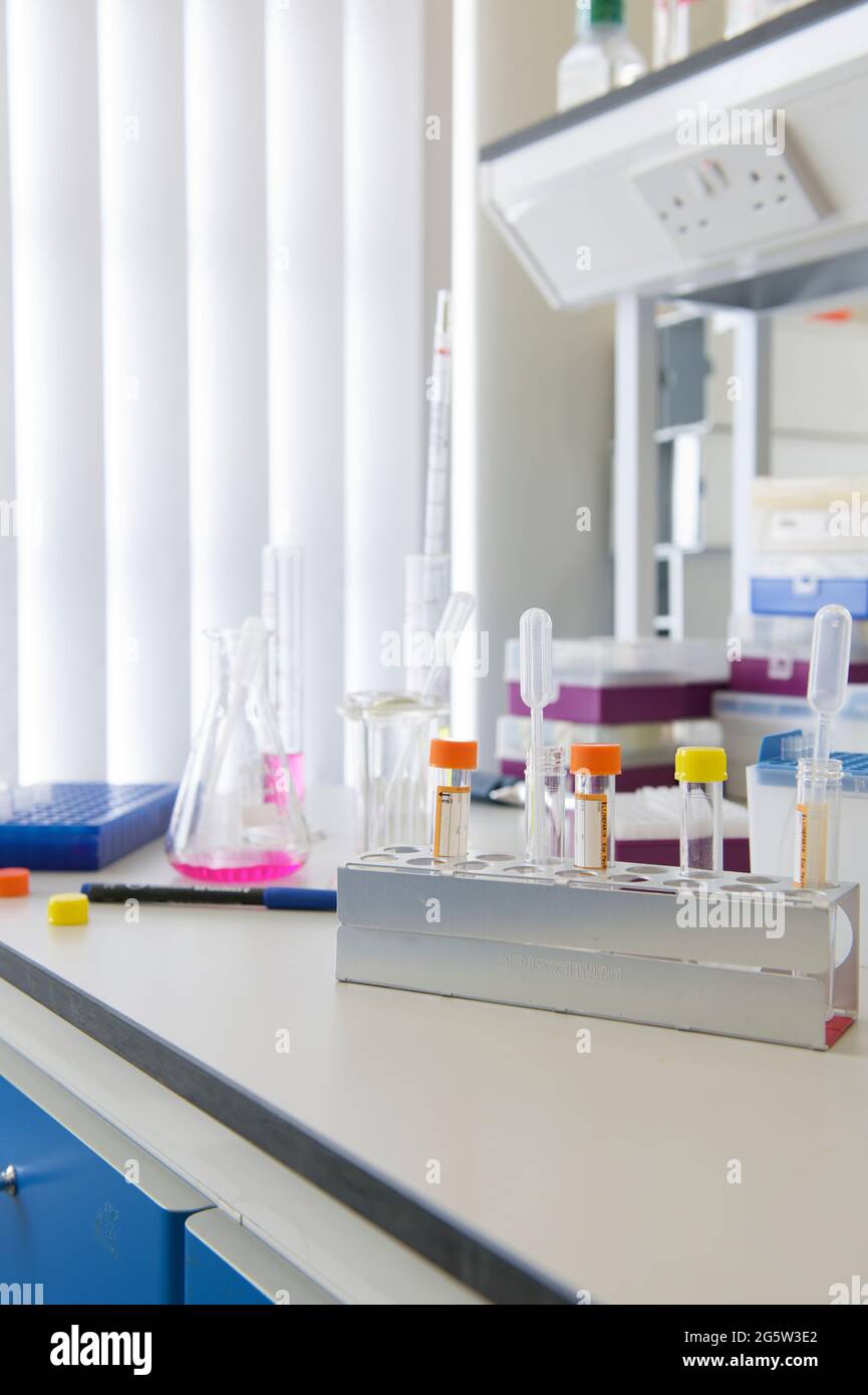 science laboratory bench with testing equipment Stock Photo - Alamy