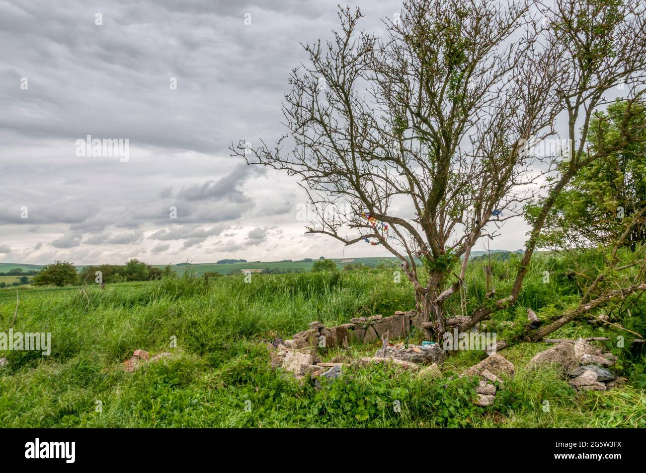 Clootie Tree High Resolution Stock Photography and Images - Alamy
