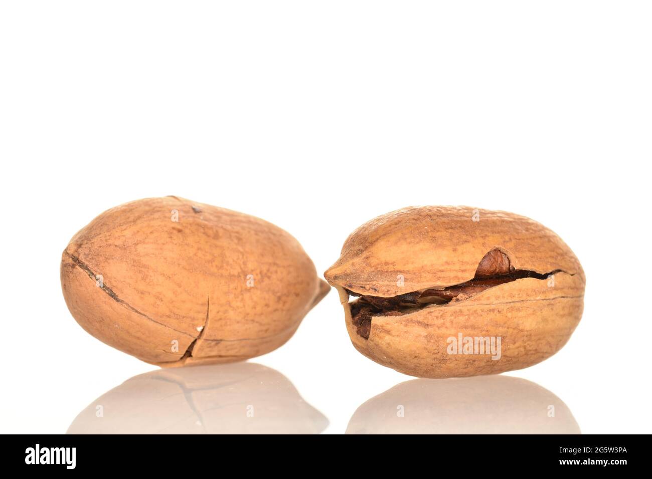 Two ripe unpeeled pecans, close-up, isolated on white Stock Photo - Alamy