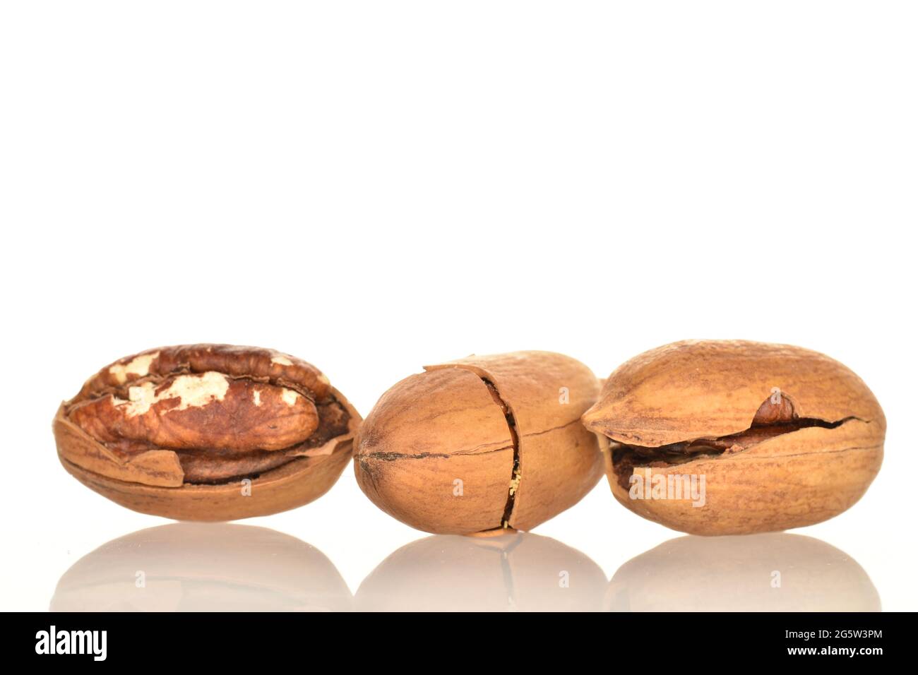 Three ripe unpeeled pecans, close-up, isolated on white Stock Photo - Alamy