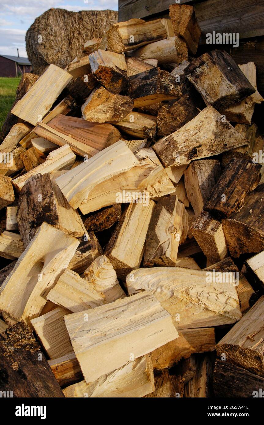 large stack of split firewood Stock Photo - Alamy