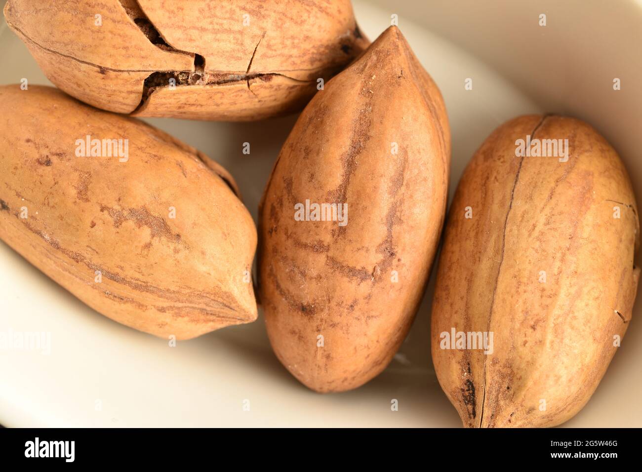 Faience Plate High Resolution Stock Photography and Images - Alamy