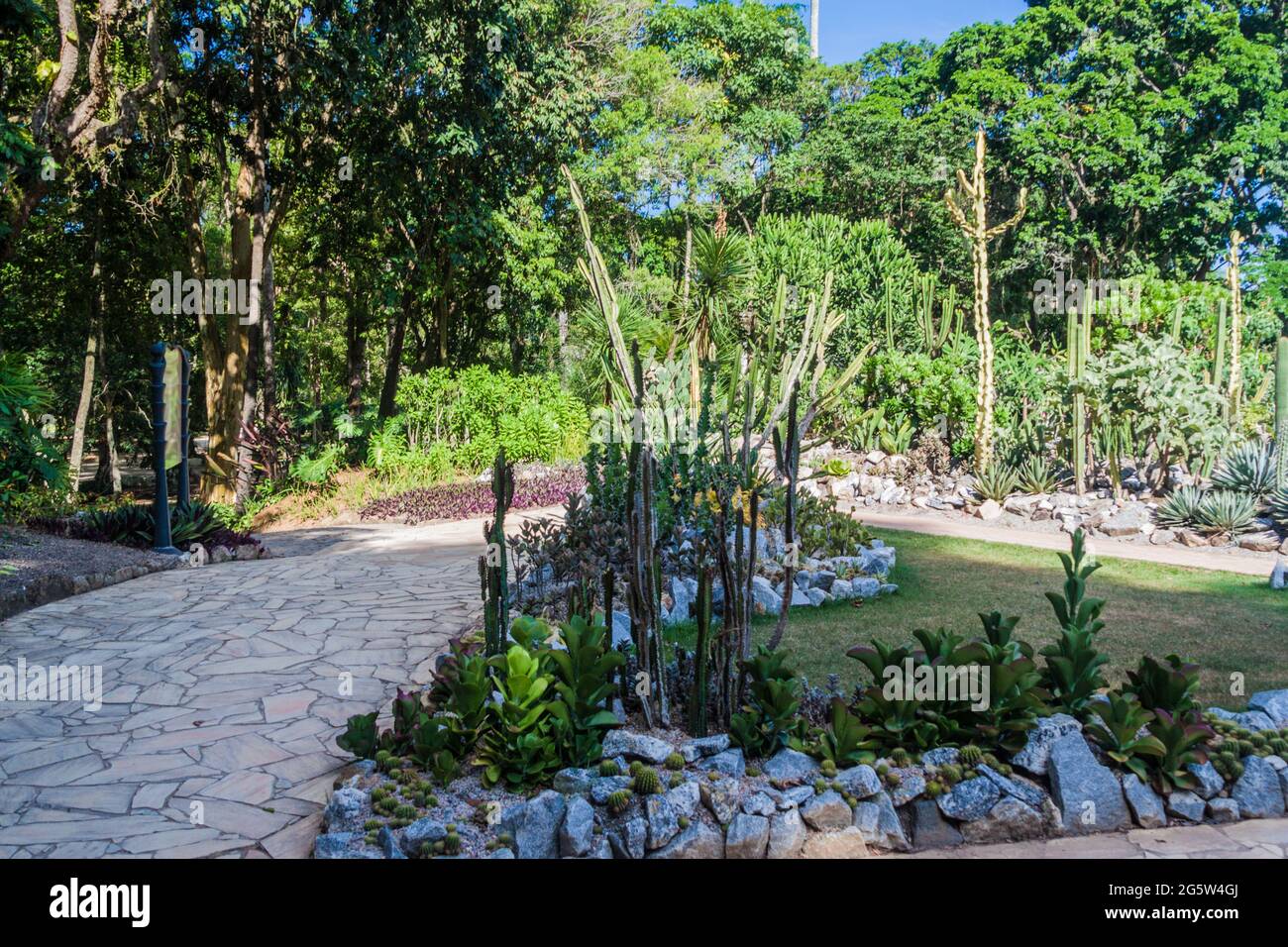Cactus section of botanical garden in Rio de Janeiro, Brazil Stock ...