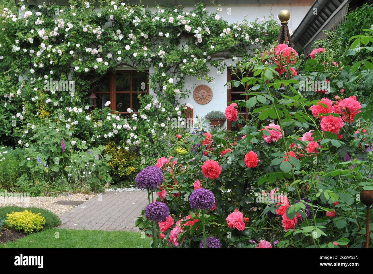 Climbing rose house hi-res stock photography and images - Alamy