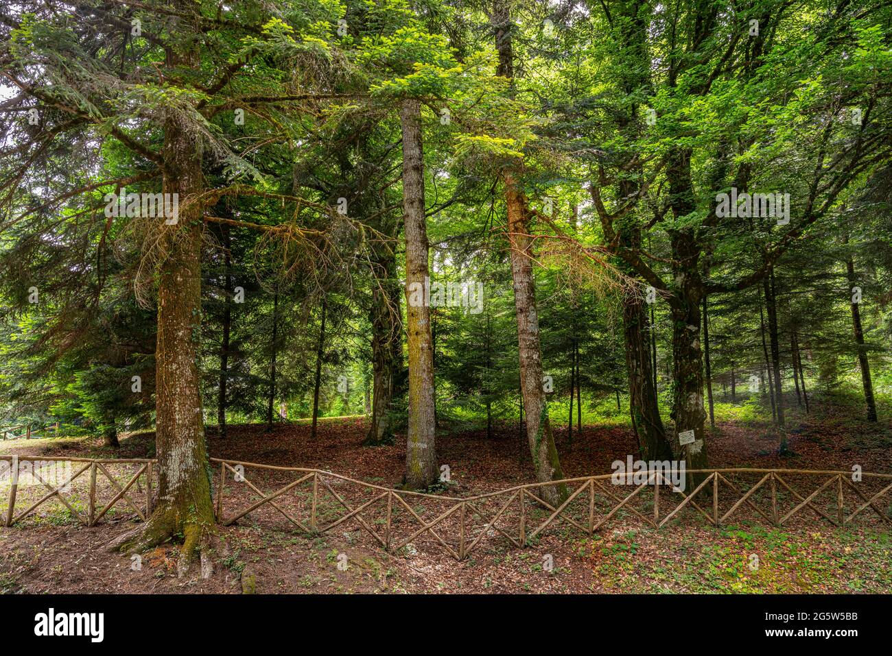The MAB (Man And Biosphere) nature reserve of Collemeluccio ...