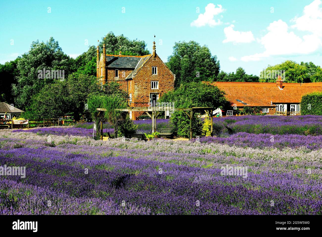 Heacham norfolk hi-res stock photography and images - Alamy