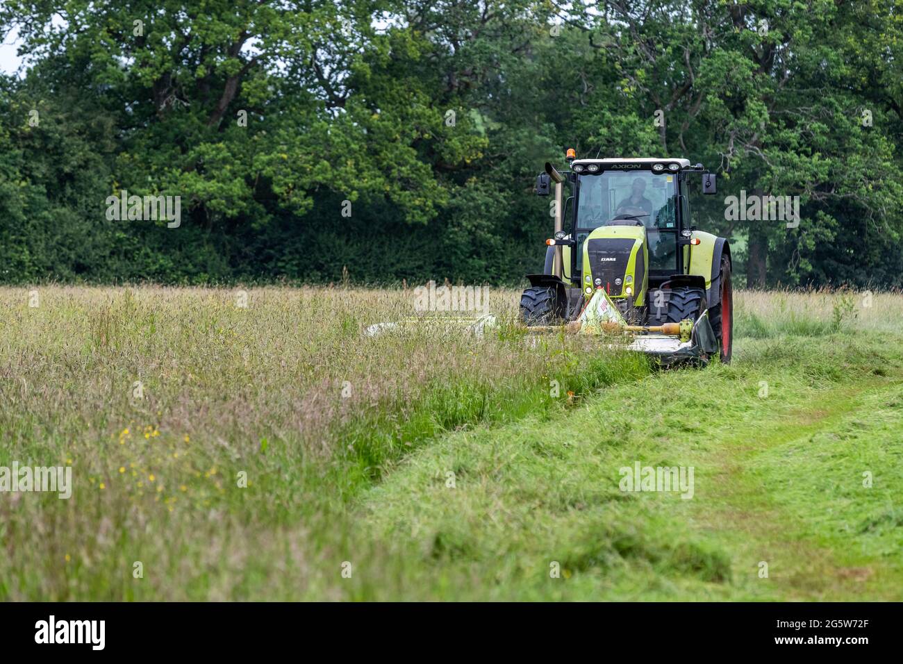 Summer grass cutting, Forest of Dean. CLAAS 820 Axion tractor and ...