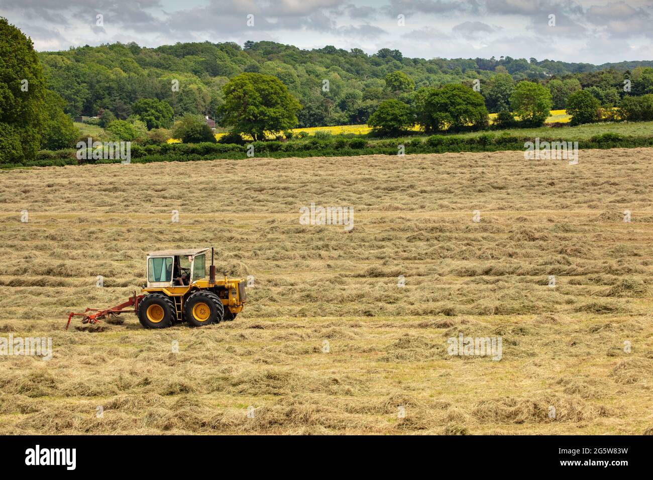 Haymaking with machines in a semi-urban farm, bright sunshine, blue sky ...