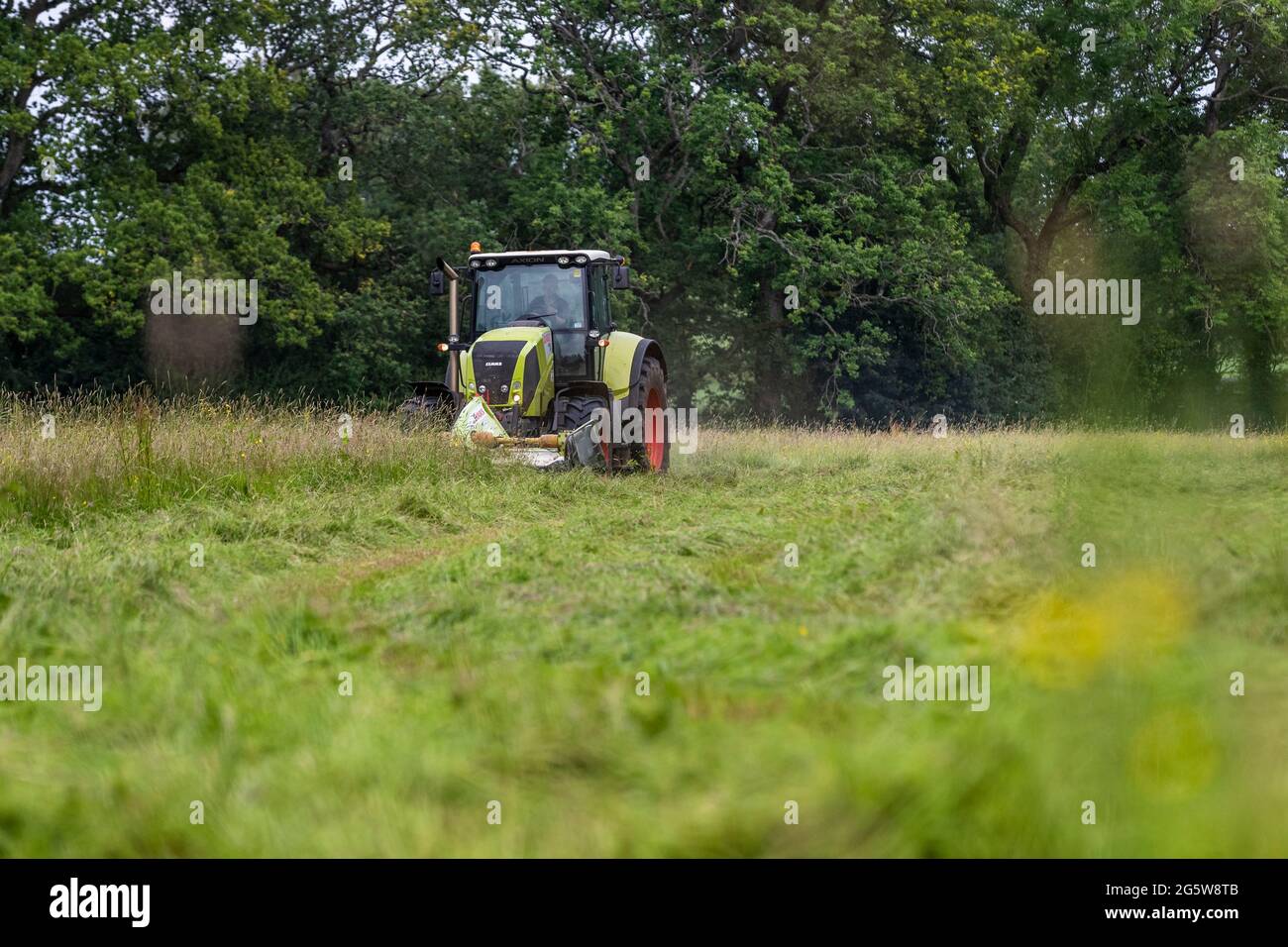 Claas Mower High Resolution Stock Photography and Images - Alamy