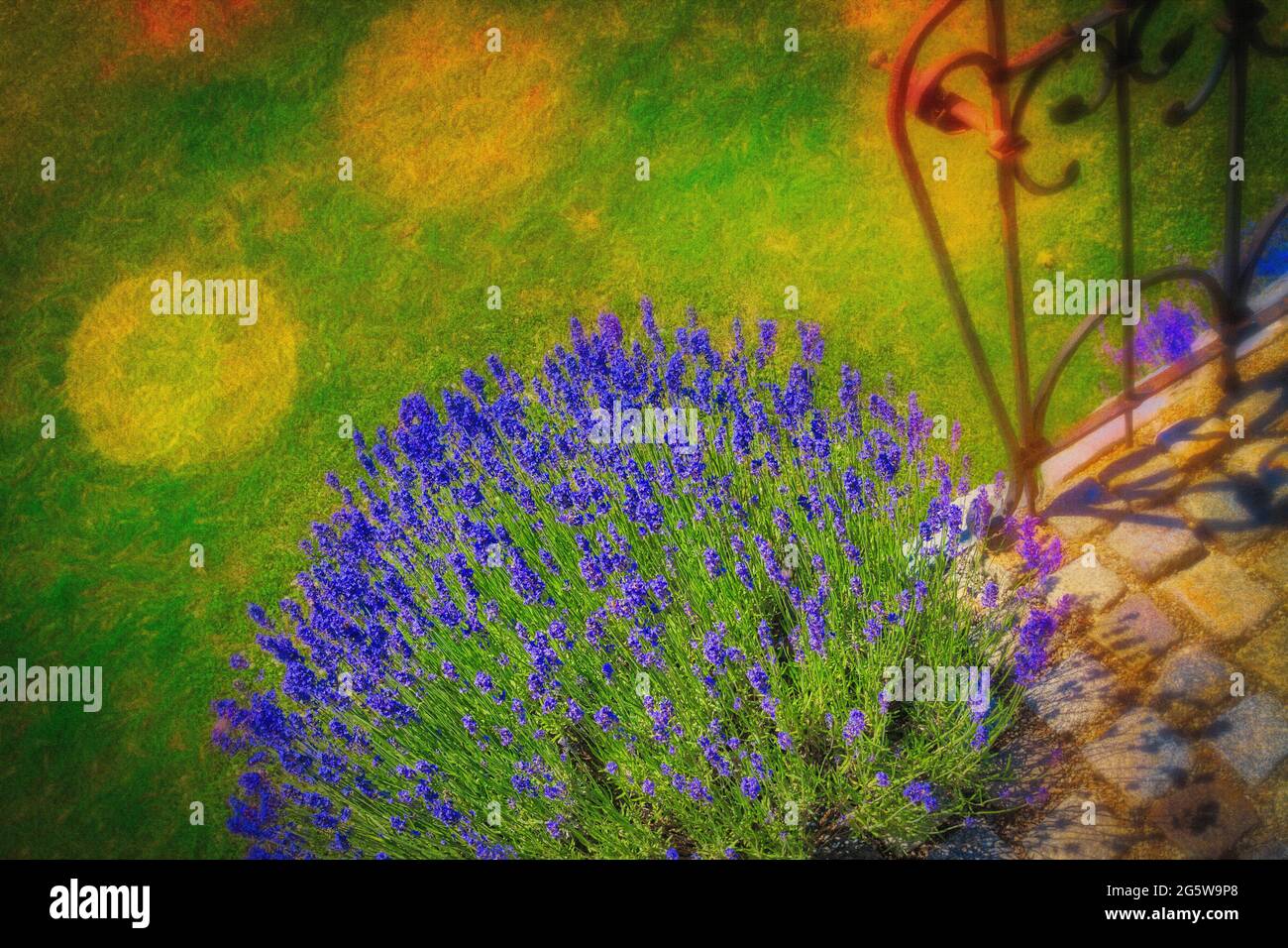 CONTEMPORARY ART: Flowering lavender plant Stock Photo - Alamy