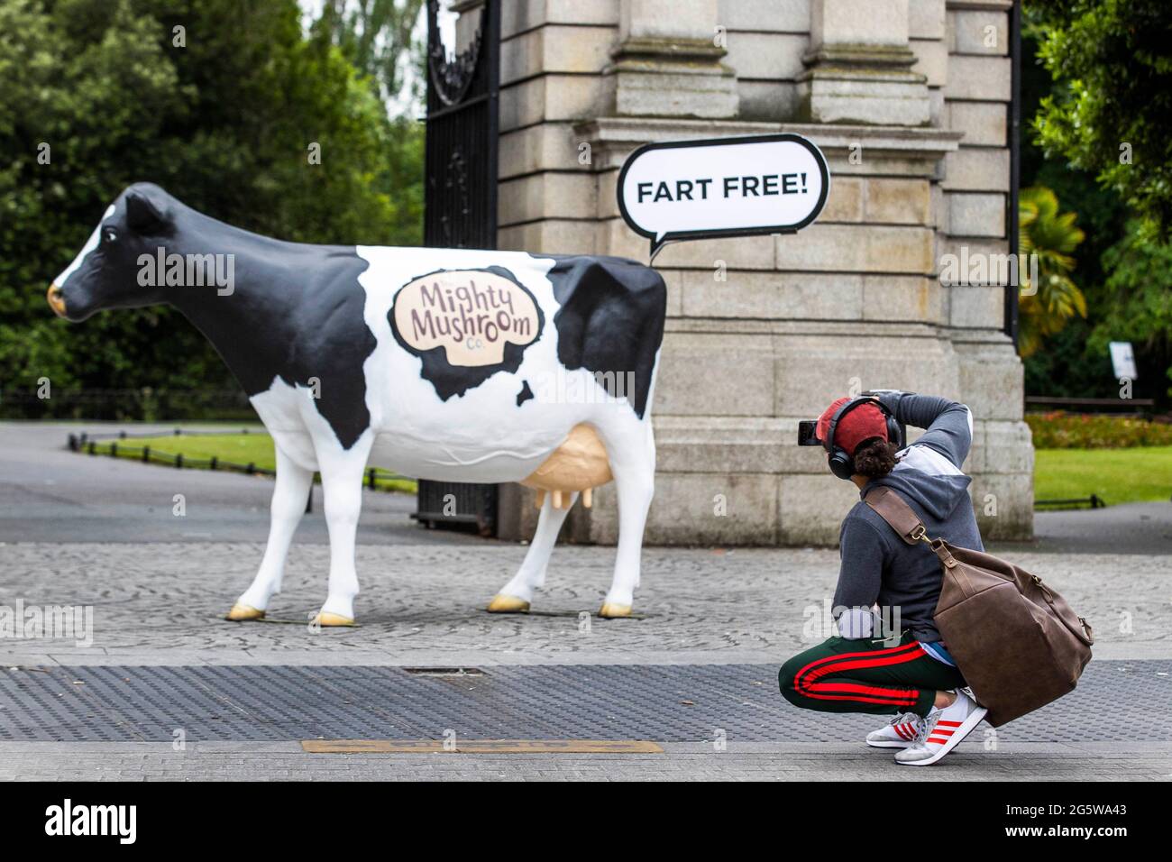 EDITORIAL USE ONLY A 7ft model of a 'fart-free' Friesian cow is ...