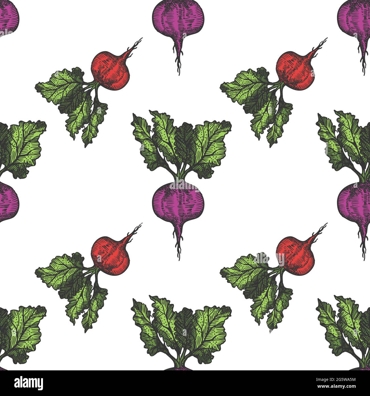Storage beetroot Stock Vector Images - Alamy