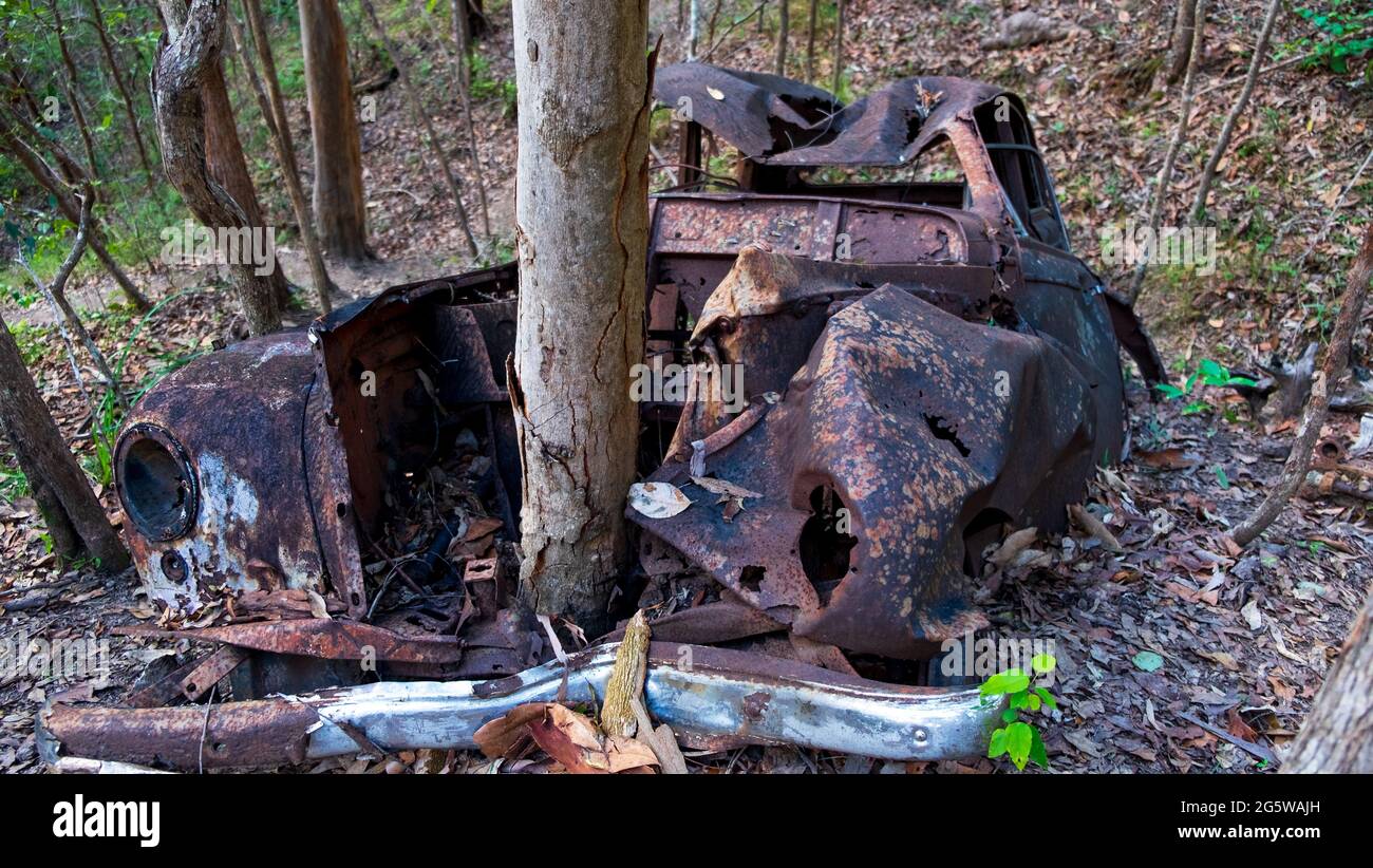 Ruined, rusty cars in the middle of the forest Stock Photo - Alamy