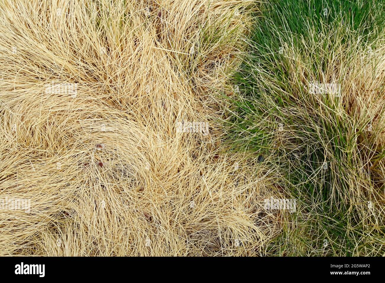 Symbol photo for lack of water Stock Photo - Alamy