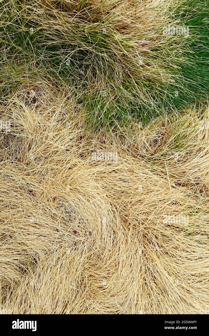 Symbol photo for lack of water Stock Photo - Alamy