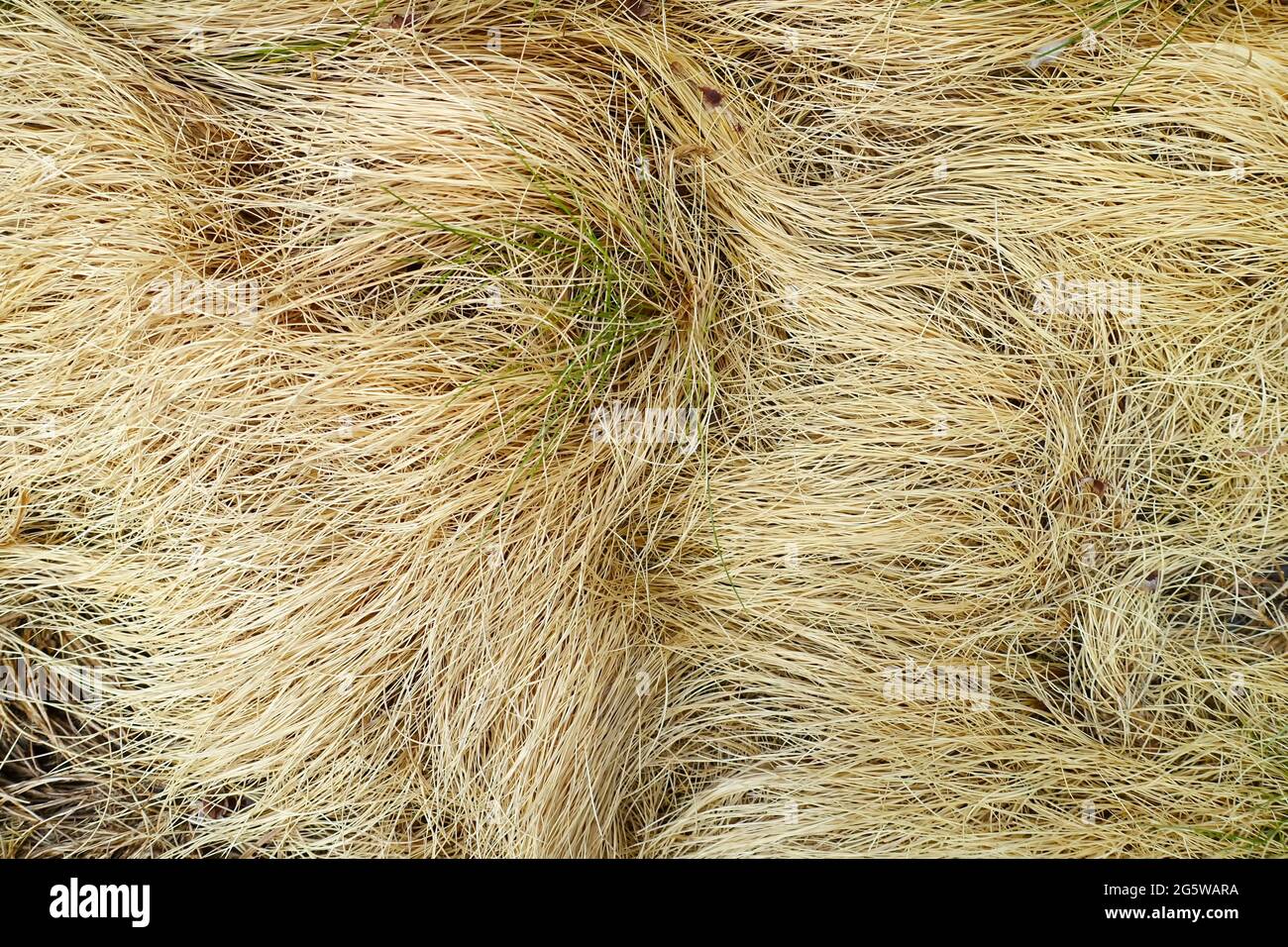 Symbol photo for lack of water Stock Photo - Alamy