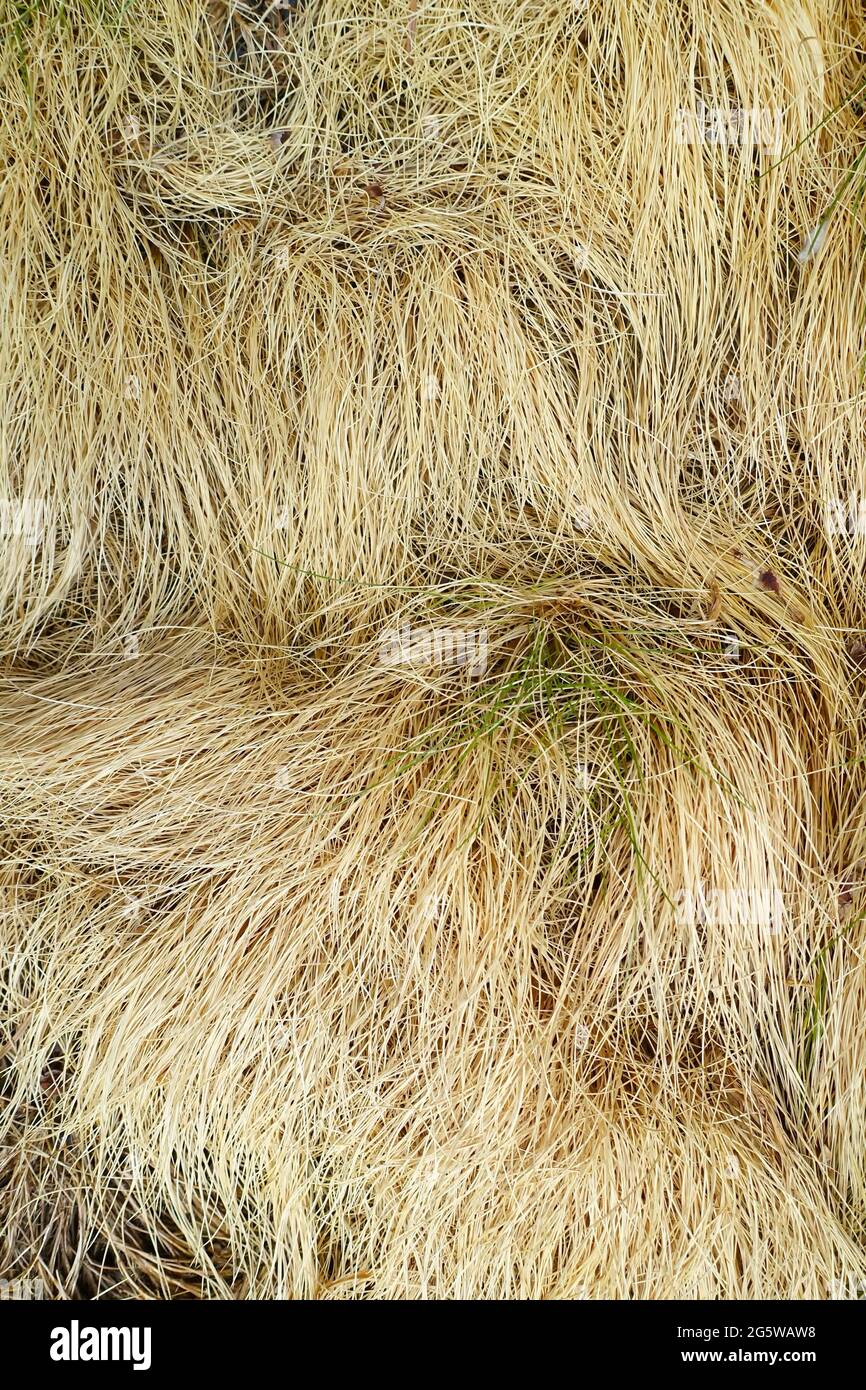 Symbol photo for lack of water Stock Photo - Alamy