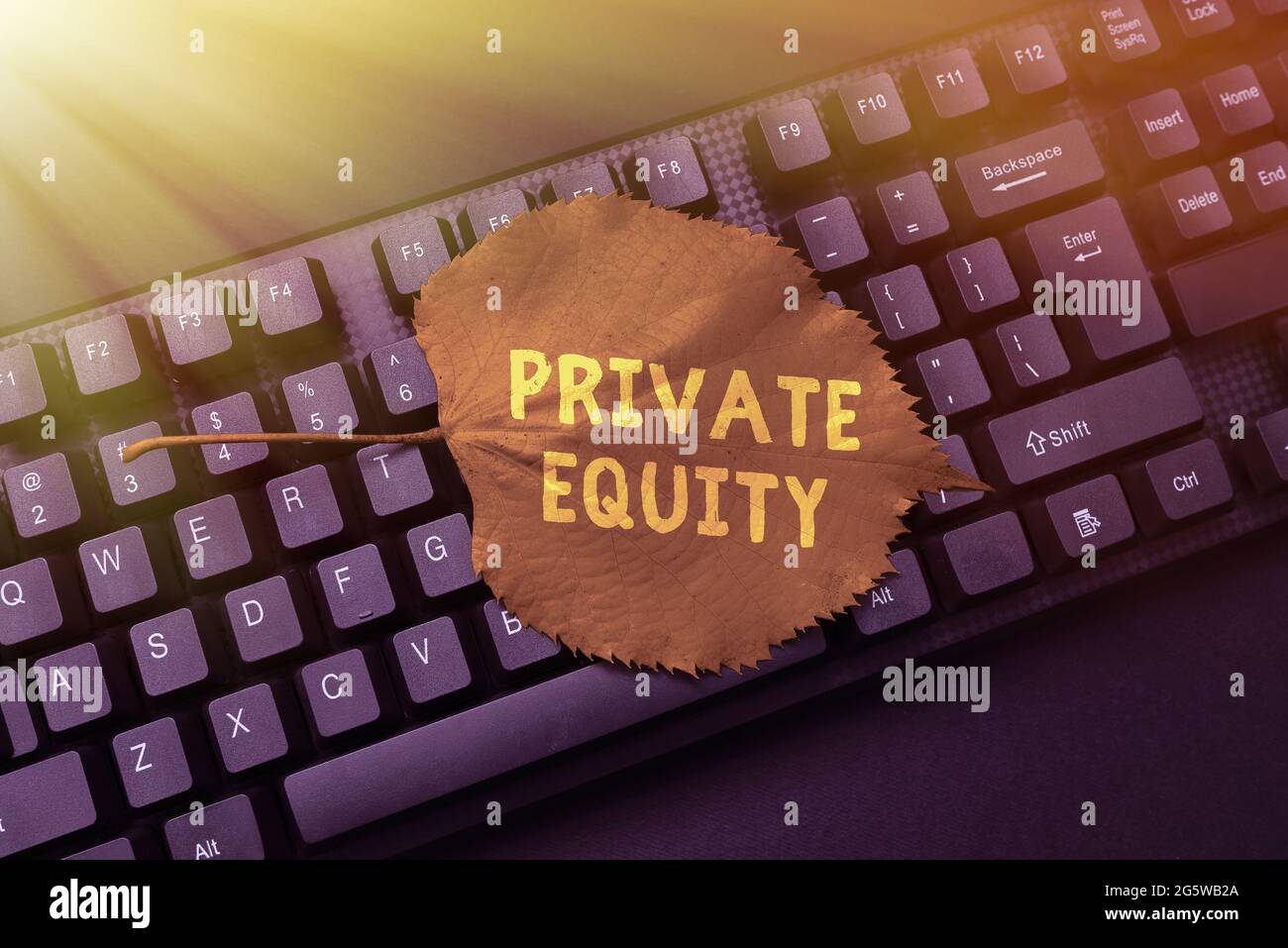 Text caption presenting Private Equity. Business idea limited ...