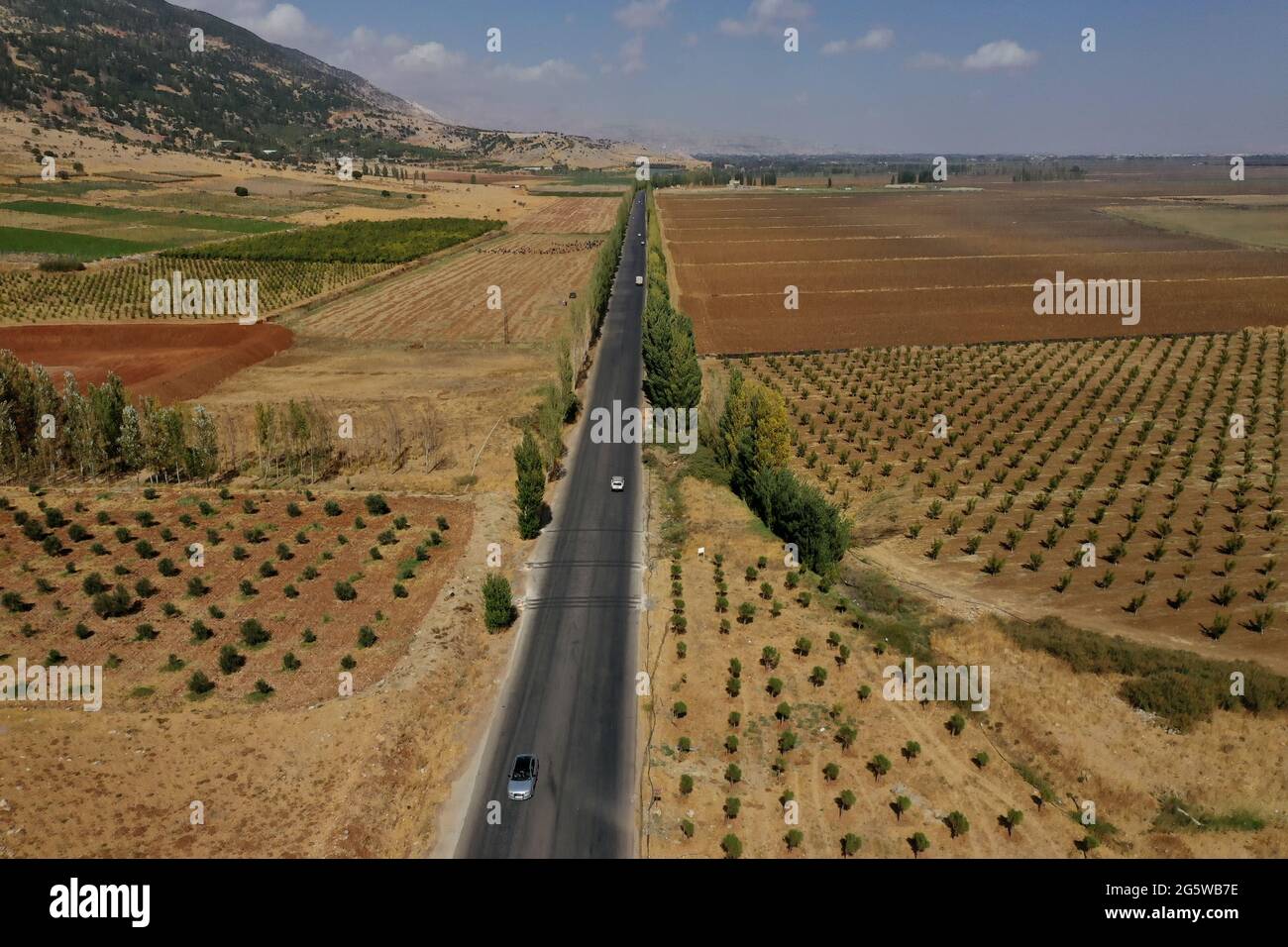 Ammiq wetland reserve Stock Photo - Alamy