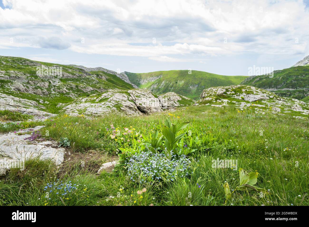 Salt way italy hi-res stock photography and images - Alamy