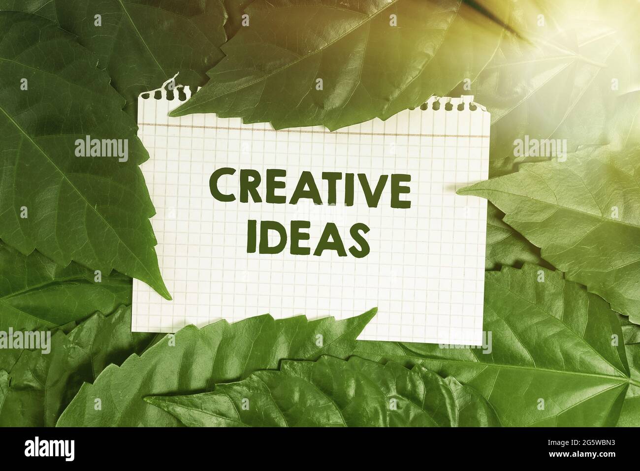 Inspiration showing sign Creative Ideas. Business idea Unique strategy ...